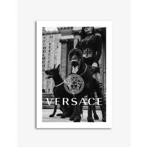 Hondenrassen Poster Balenciaga Honden Poster